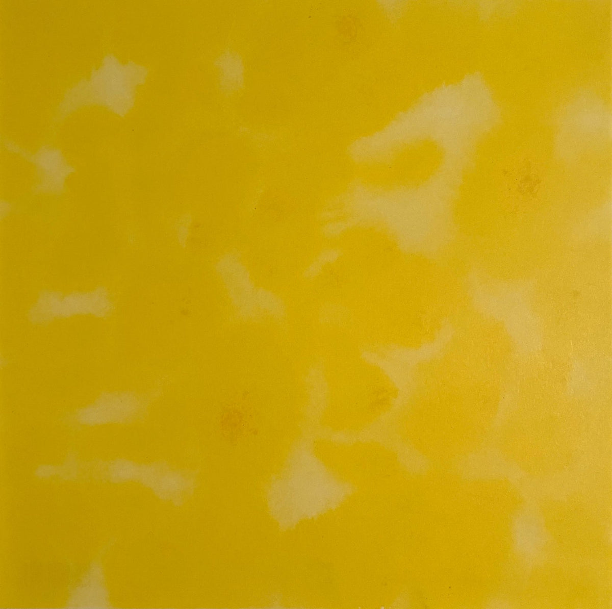 Fresh Lemons Paper – Priceless Scrapbooks