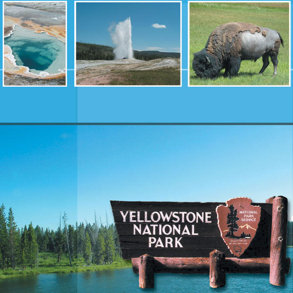 Yellowstone Paper – Priceless Scrapbooks